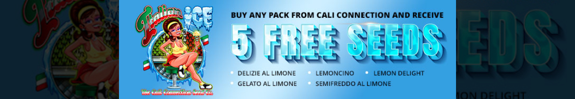 Black Farm Genetix Seeds Cannabis Seeds | Discreet Seeds