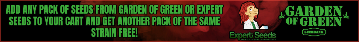 Cali Weed Seeds Cannabis Seeds | Discreet Seeds