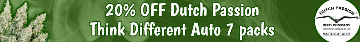 Cali Weed Seeds Cannabis Seeds | Discreet Seeds