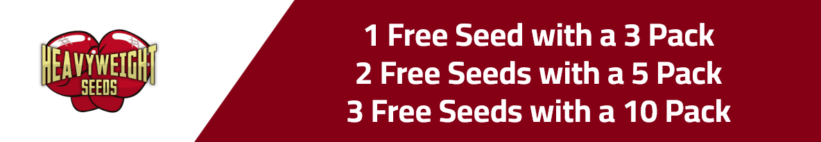 Cannabis Seeds | Marijuana Seeds from UK's Discreet Seeds