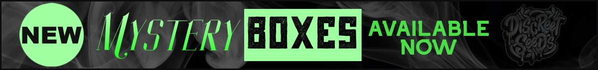 Perfect tree seeds Cannabis Seeds | Discreet Seeds