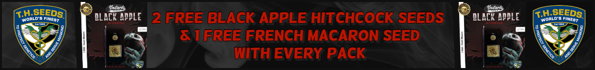 Perfect tree seeds Cannabis Seeds | Discreet Seeds