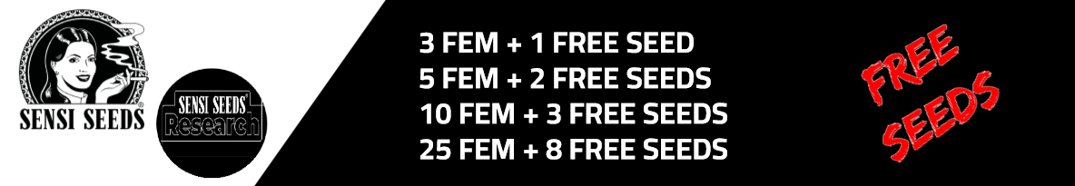 Discreet Seeds Cannabis Seeds | Discreet Seeds