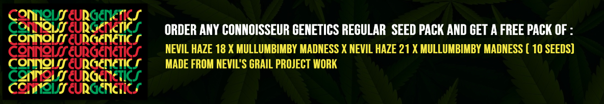 Cali Weed Seeds Cannabis Seeds | Discreet Seeds