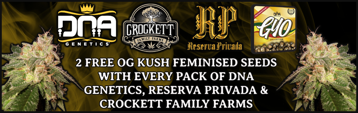 Cannabis Seeds | Discreet Cannabis & Marijuana Seeds