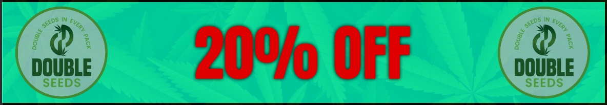 Cali Weed Seeds Cannabis Seeds | Discreet Seeds