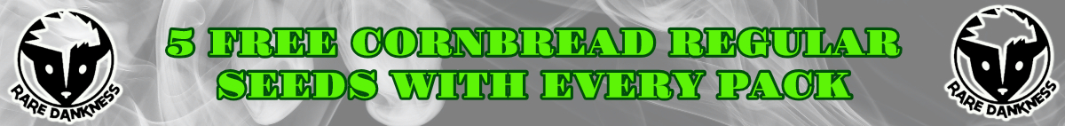 Perfect tree seeds Cannabis Seeds | Discreet Seeds