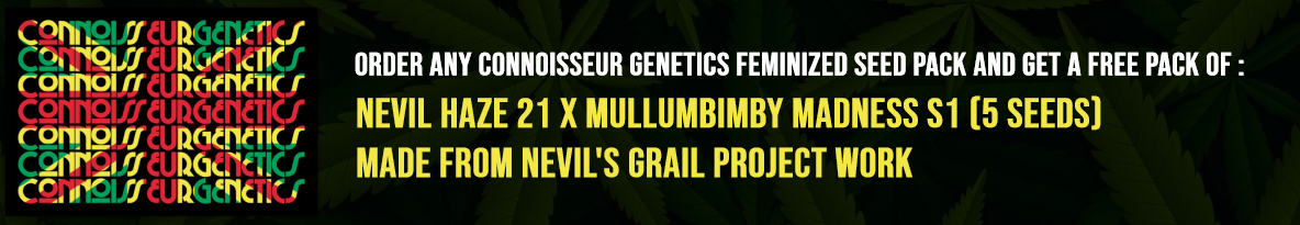 Cali Weed Seeds Cannabis Seeds | Discreet Seeds