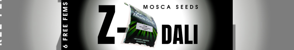 Cali Weed Seeds Cannabis Seeds | Discreet Seeds