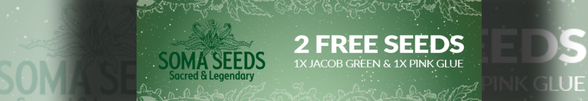 Cannabis Seeds | Marijuana Seeds from UK's Discreet Seeds