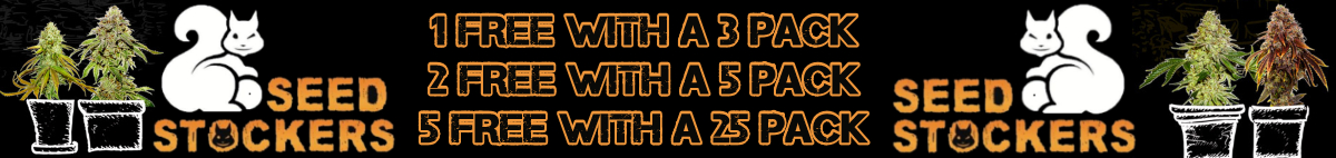 Cannabis Seeds | Marijuana Seeds from UK's Discreet Seeds