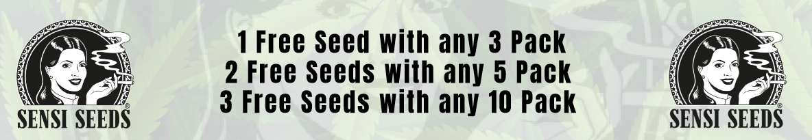 Cannabis Seeds | Marijuana Seeds from UK's Discreet Seeds