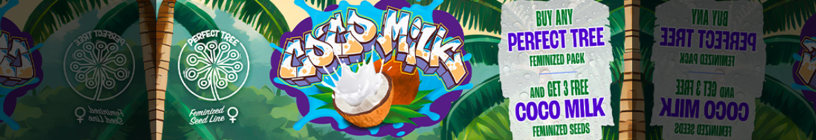 Cannabis Seeds | Marijuana Seeds from UK's Discreet Seeds