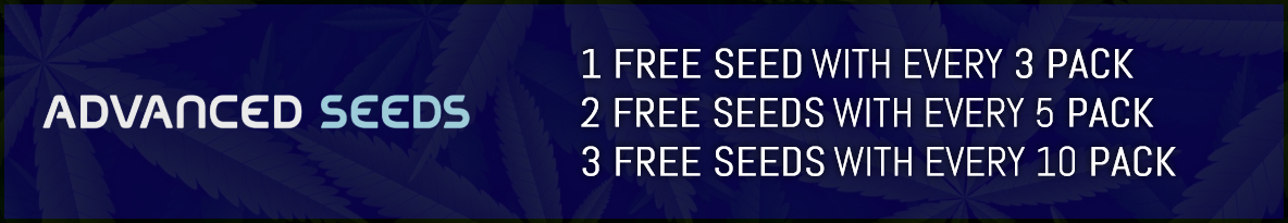 Cali Weed Seeds Cannabis Seeds | Discreet Seeds