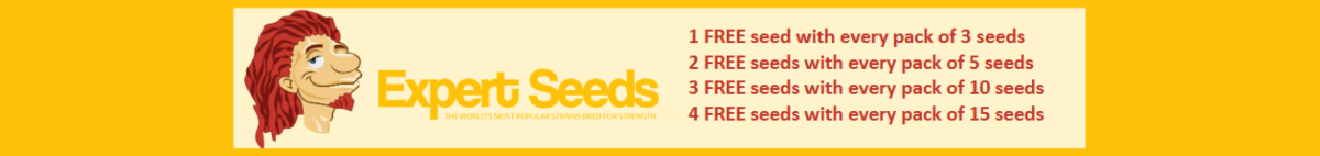 Short Stuff Seeds Cannabis Seeds | Discreet Seeds