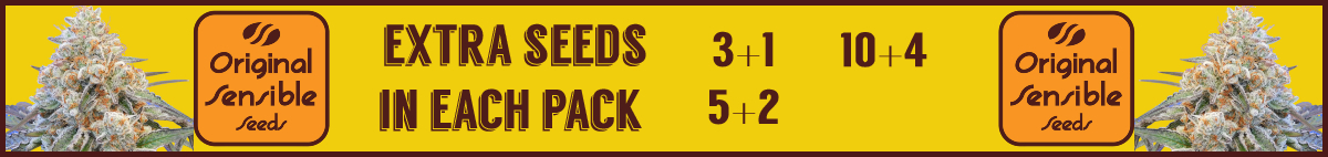 Cali Weed Seeds Cannabis Seeds | Discreet Seeds