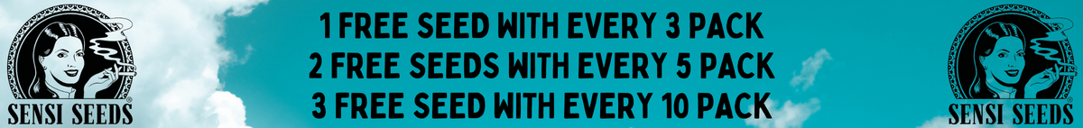 Perfect tree seeds Cannabis Seeds | Discreet Seeds