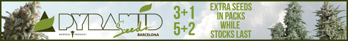 Cali Weed Seeds Cannabis Seeds | Discreet Seeds