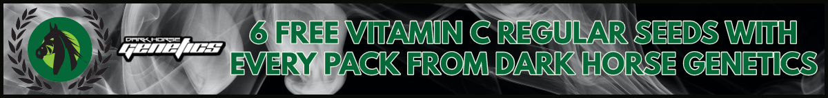 Cali Weed Seeds Cannabis Seeds | Discreet Seeds