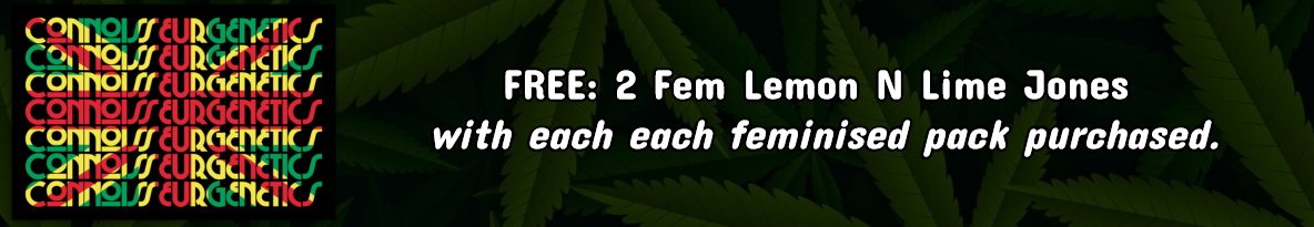 Cali Weed Seeds Cannabis Seeds | Discreet Seeds