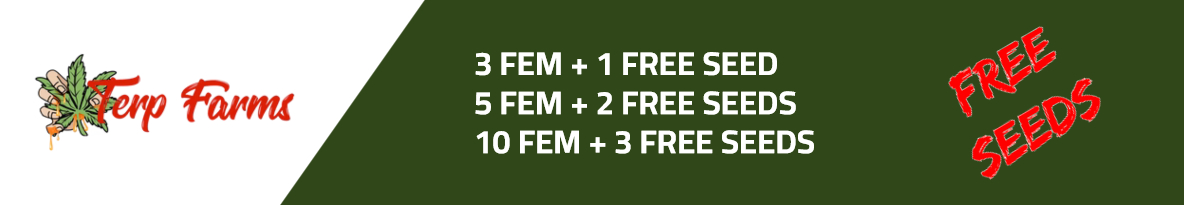 Discreet Seeds Cannabis Seeds | Discreet Seeds