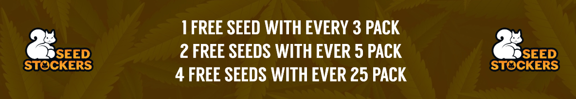 Cannabis Seeds | Marijuana Seeds from UK's Discreet Seeds