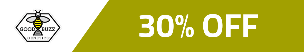 Cannabis Seeds | Marijuana Seeds from UK's Discreet Seeds