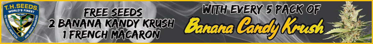 Cali Weed Seeds Cannabis Seeds | Discreet Seeds