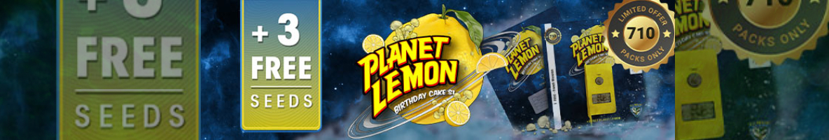 Cannabis Seeds | Marijuana Seeds from UK's Discreet Seeds