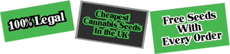 Cali Weed Seeds Cannabis Seeds | Discreet Seeds